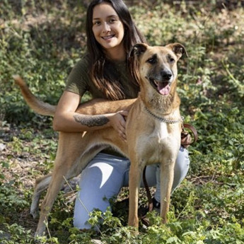 Jane Austin | Puppy Area