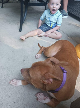 Royal Ruby - Puppy Area