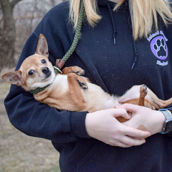 Charlie - Puppy Area