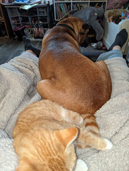 Gat Gat - Puppy Area