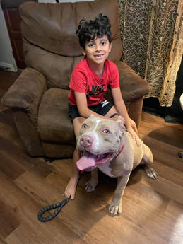 Professor RadaR - Puppy Area