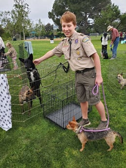 Playful Prince Rafi part 2 - Puppy Area