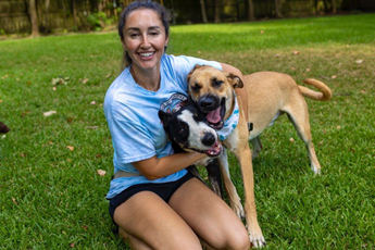 Calhoun English - Puppy Area